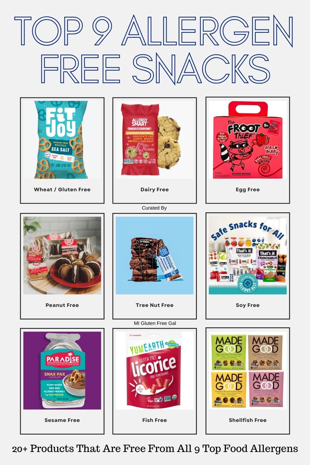 Top 9 Allergen Free Snacks : Savory & Sweet - MI Gluten Free Gal