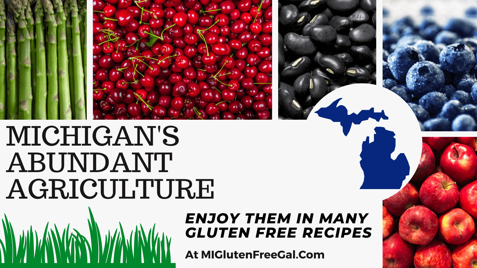 Michigan Produce in Gluten Free Recipes - MI Gluten Free Gal