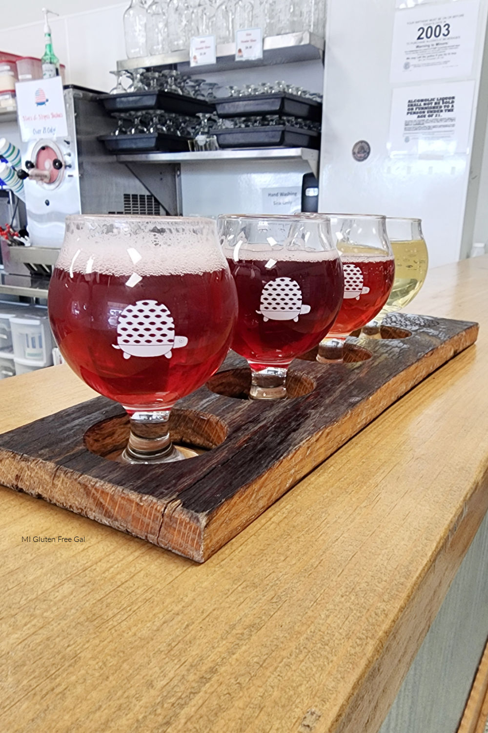 Hop Hog Gluten Free Options - MI Gluten Free Gal